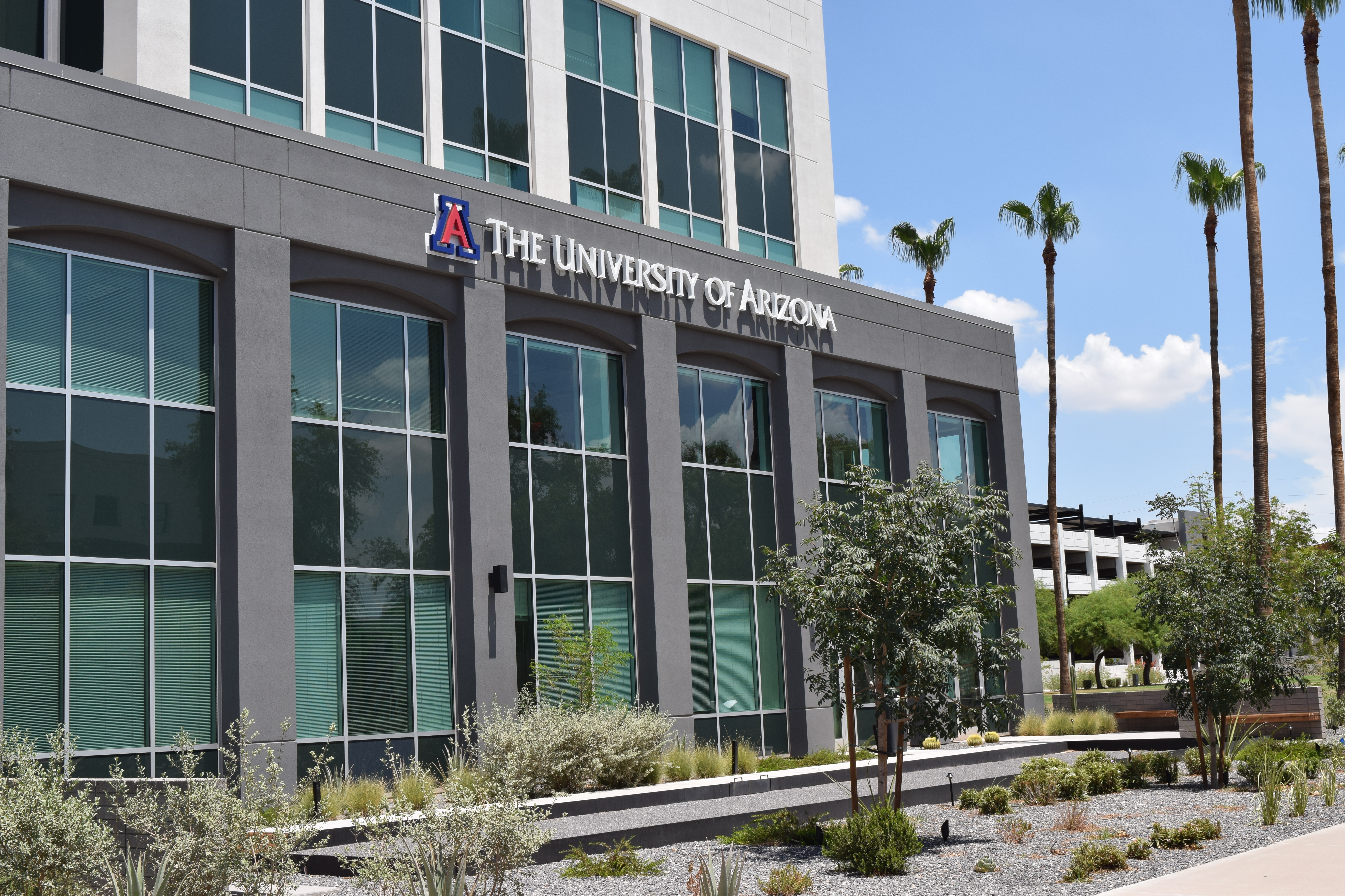 Eller College of Management launches Master of Science in Business ...