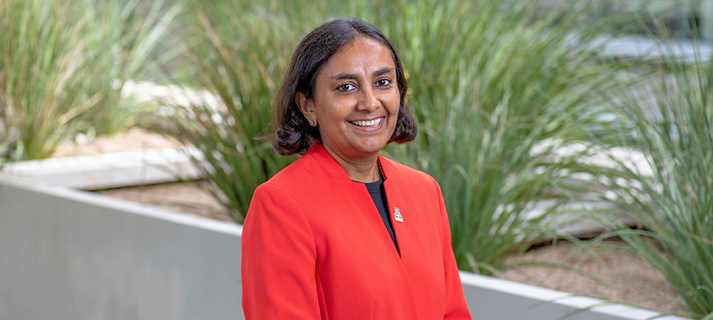 Eller MIS Professor Awarded the 2021 Peter P. Chen Award | Eller ...